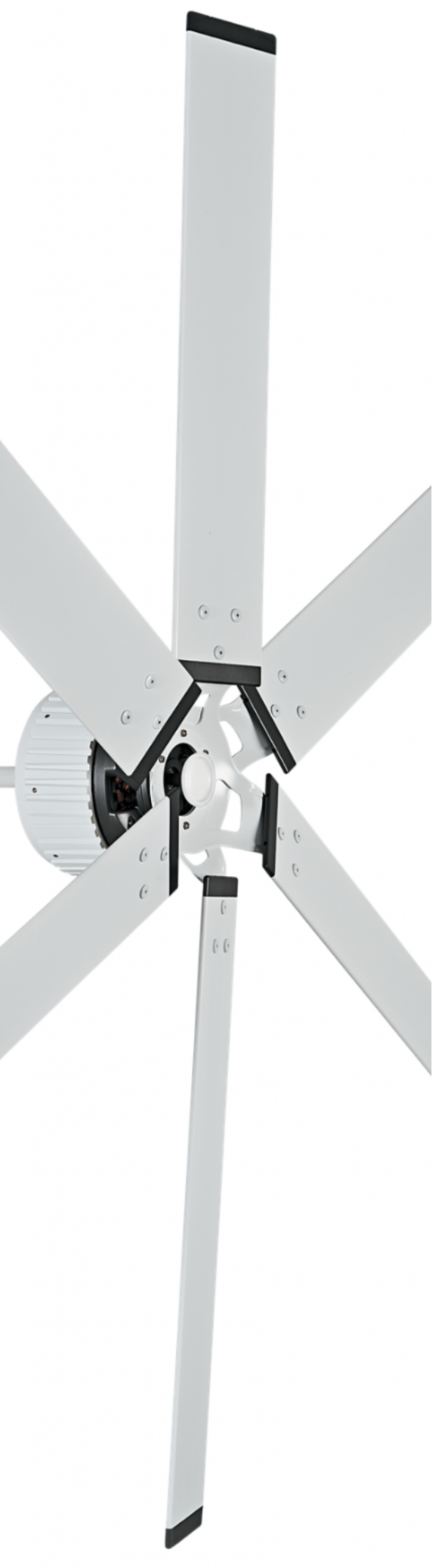 59134 HFC-72 フレシュホワイト - Huntet日本正規輸入品販売